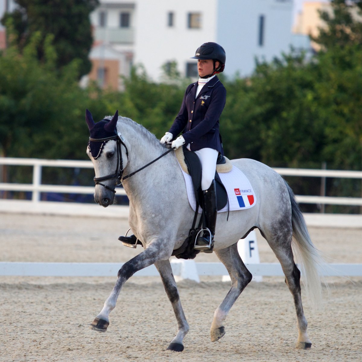 Pôle Equestre Isabelle et Carlos Pinto, cavaliers de dressage ...